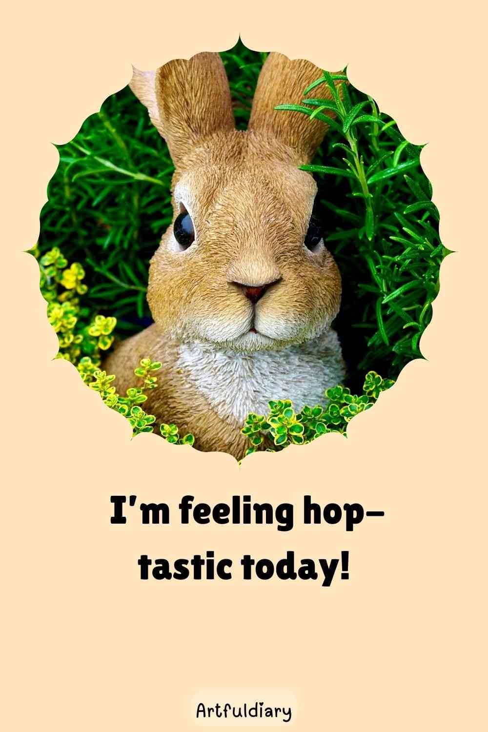 100+ Rabbit Puns And Funny Images To Share On Pinterest