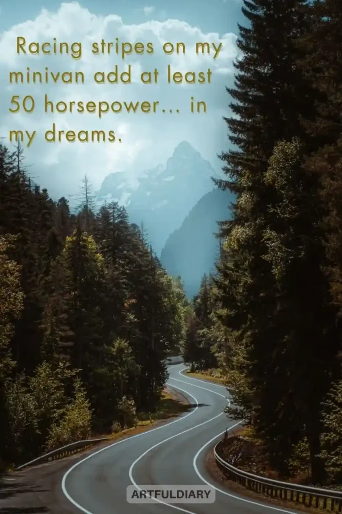 100+ Driving Puns With Funny Images To Share On Social Media