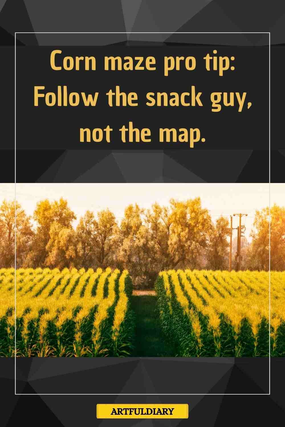 120+ Funny Corn Puns And Facts Images To Share on FB