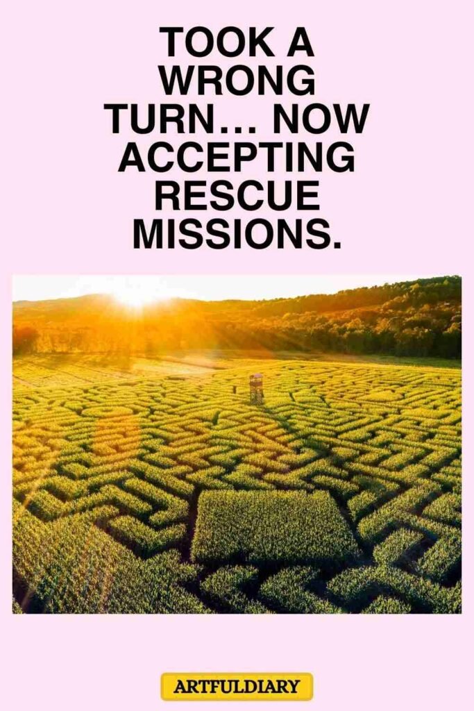 120+ Funny Corn Puns And Facts Images To Share on FB