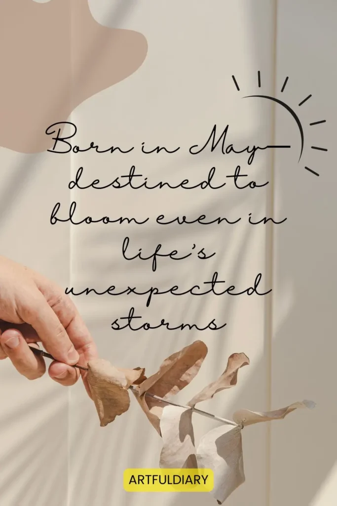 30+ Hello May Quotes Images To Share With Everyone