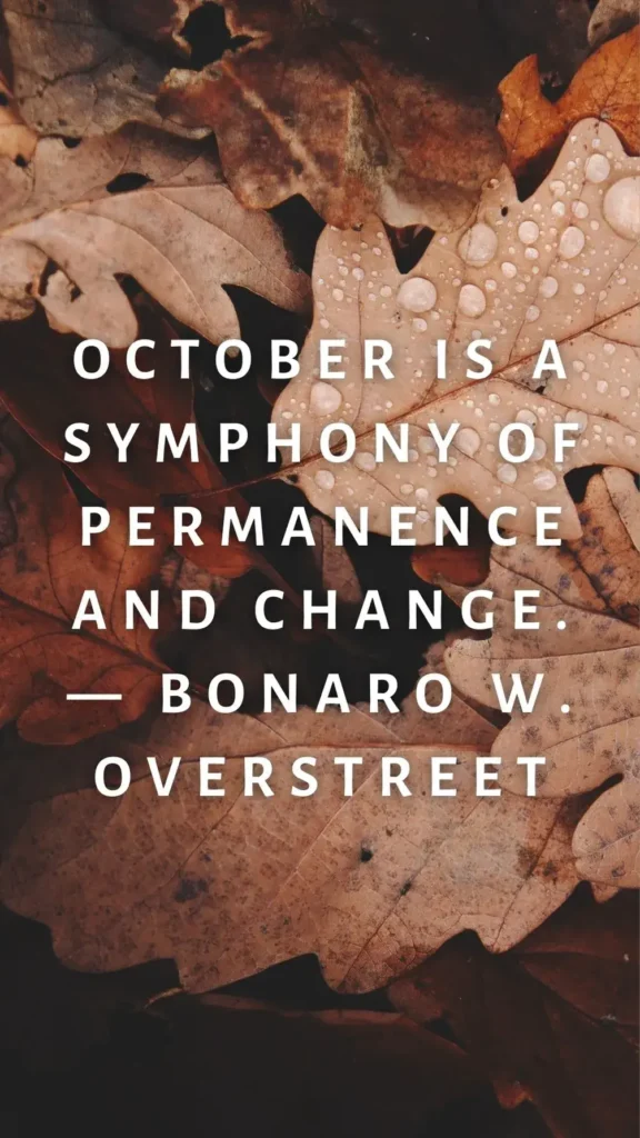 25+ Fall Quotes and Sayings Images To Share on Pinterest